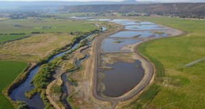 Redmond Wetlands Complex | City of Redmond