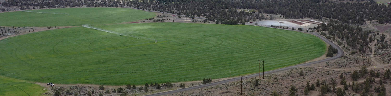 Redmond Wetlands Complex | City of Redmond